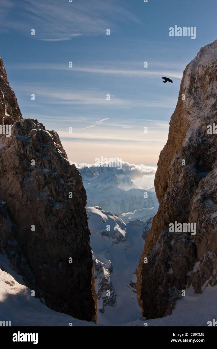 A raven flying over Sasso Vernale mountain in ski resort of Alta Badia ...