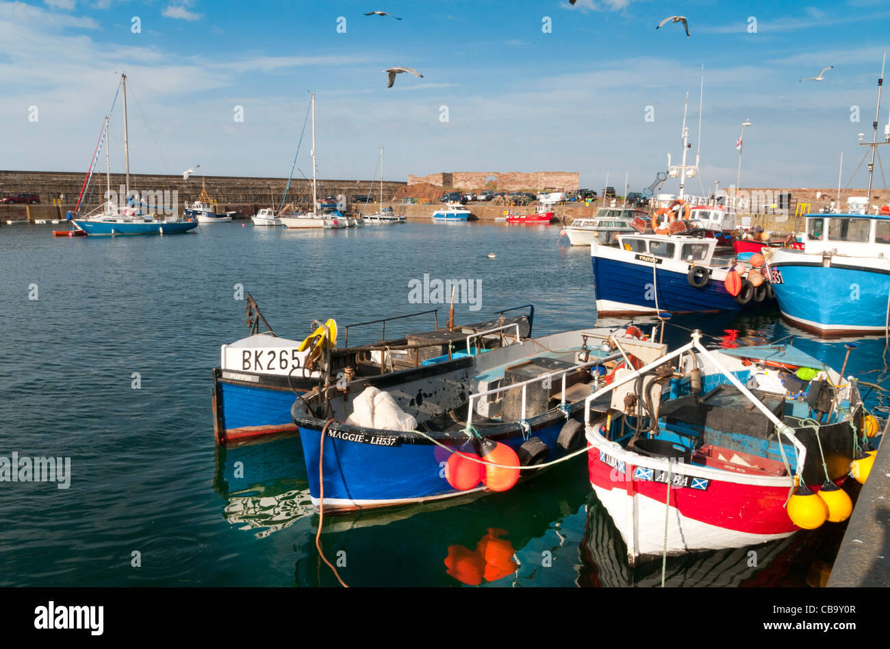 The small Scottish east coast harbour at Dunbar Stock Photo - Alamy