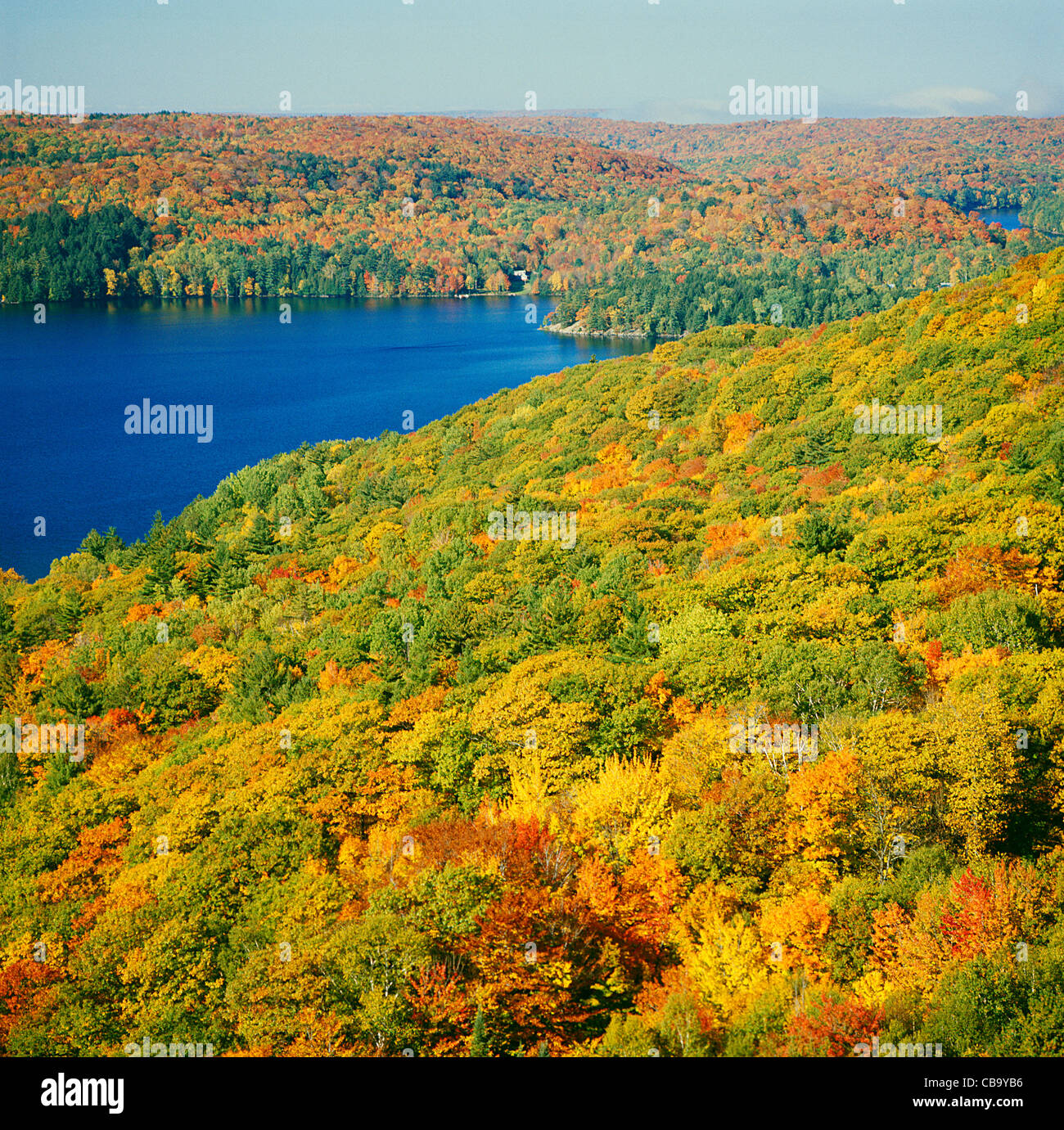 Autumn Fall on Lake and forest in Norhern Ontario;s Cottage Country ...