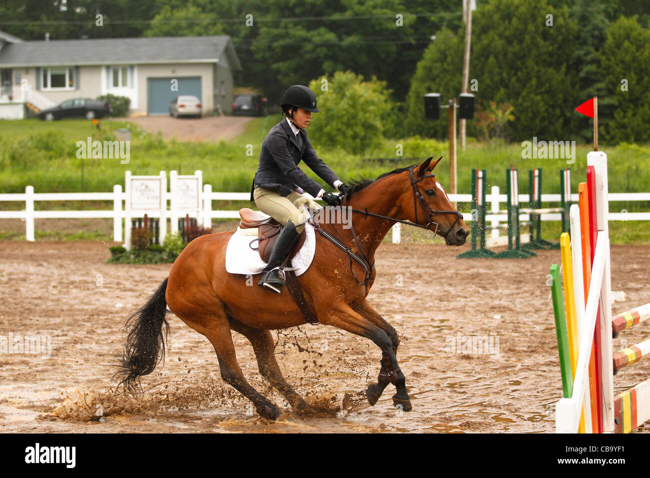 Bay Horse Jumping High Resolution Stock Photography and Images - Alamy