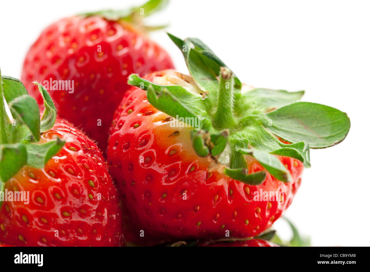 Fresh strawberries with a high key white background with shallow depth ...