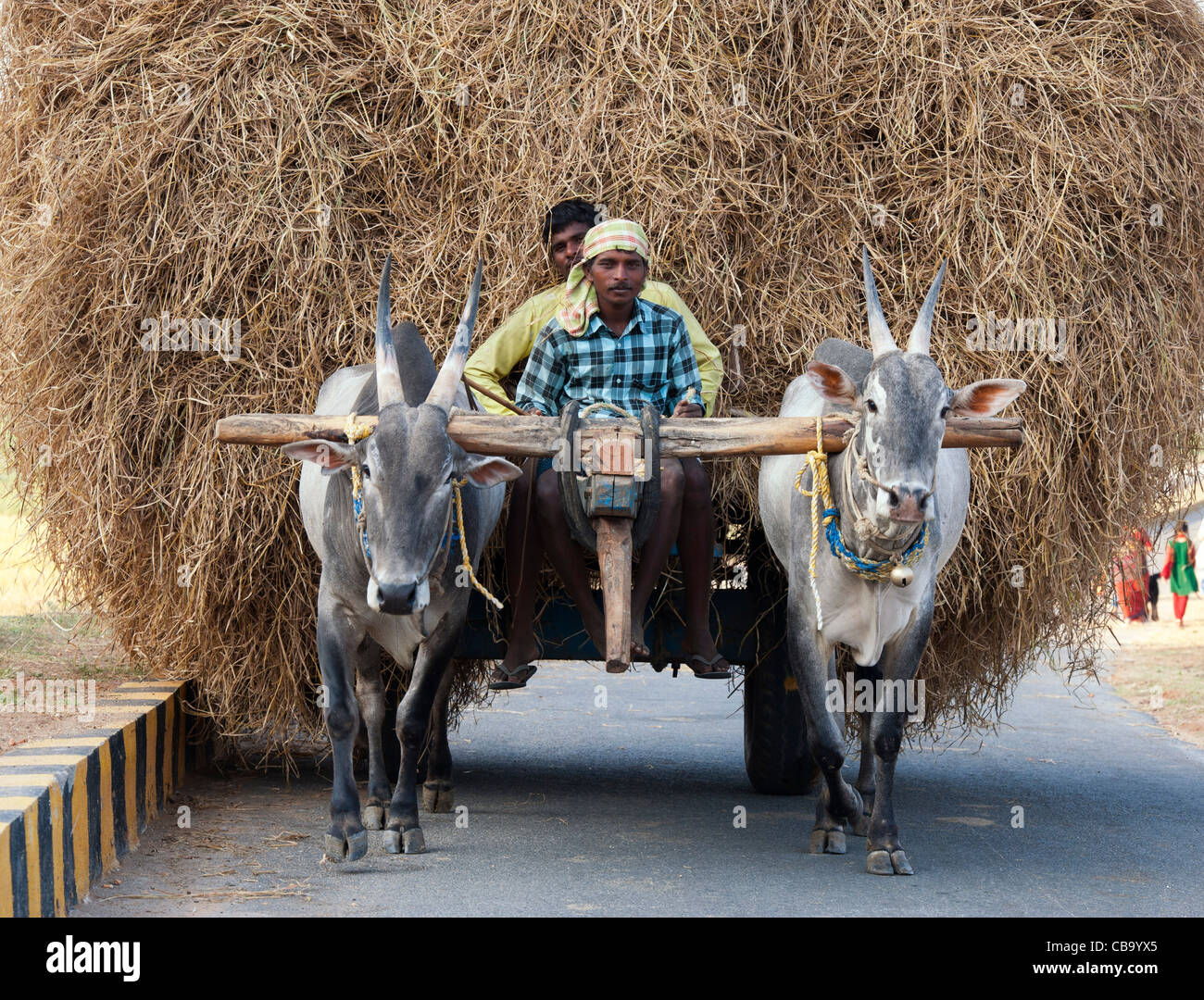 Indian farmers hi-res stock photography and images - Alamy