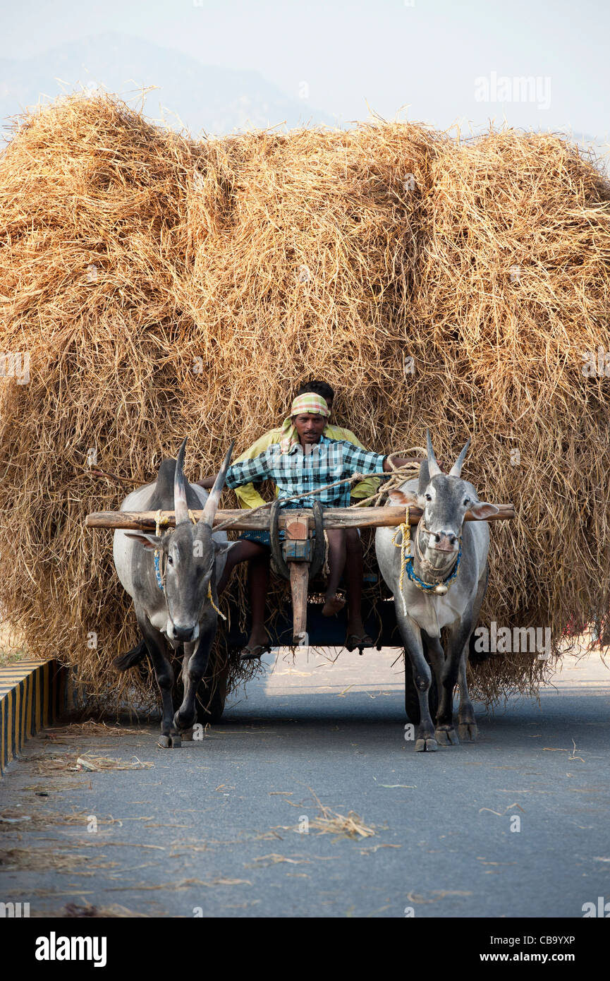 Farmers cart hi-res stock photography and images - Alamy
