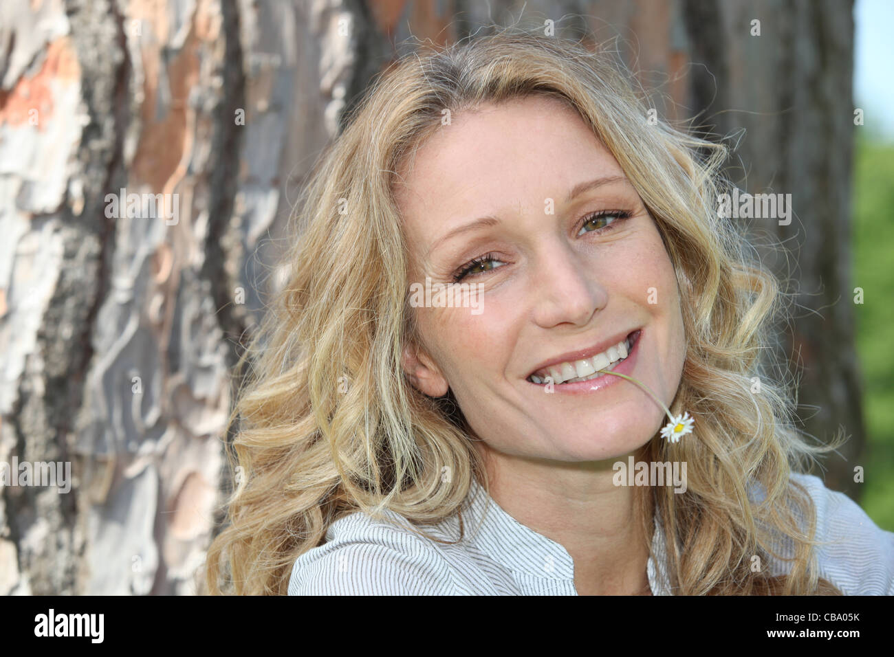 Daisy tree bark hi-res stock photography and images - Alamy