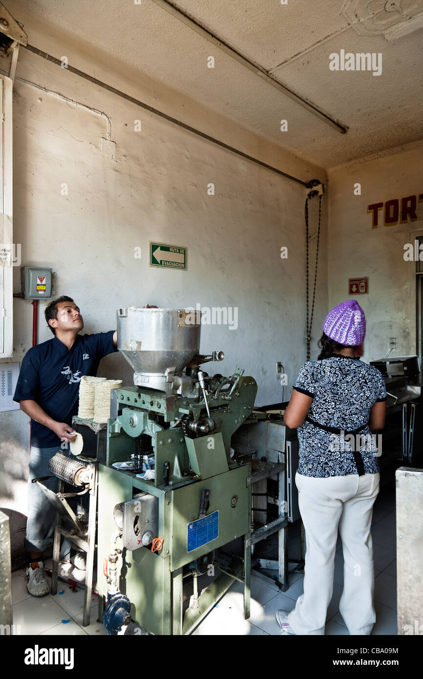 young Mexican man pulls tortilla off conveyor & checks dough vat as ...