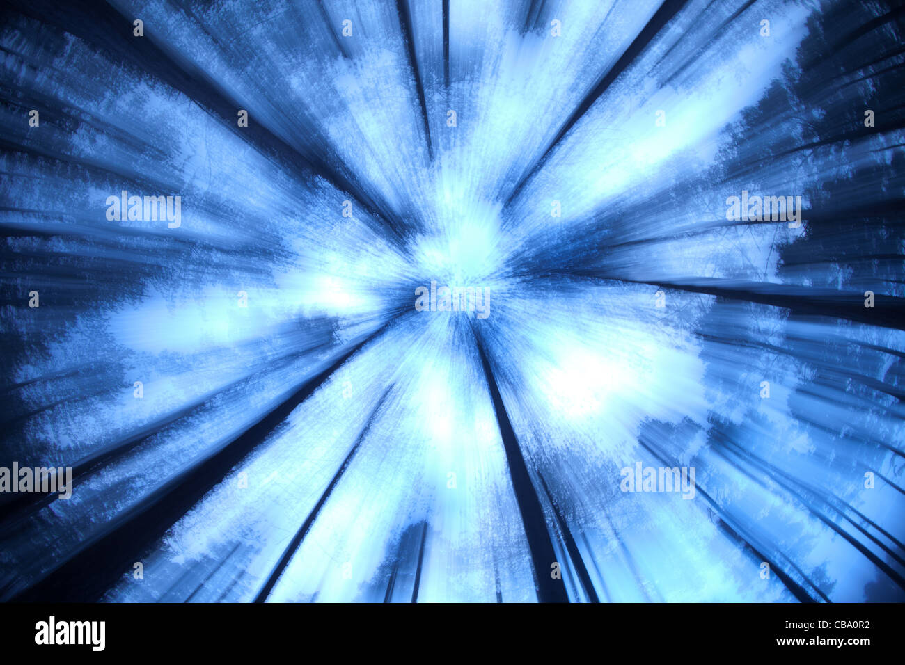 Burst trees hi-res stock photography and images - Alamy