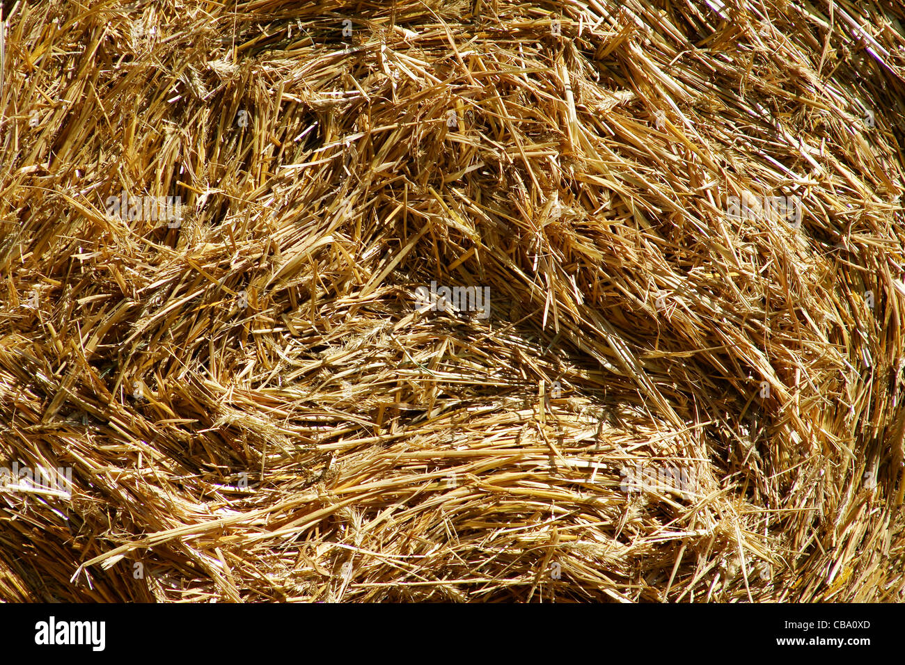 Rolled straw after harvesting - background Stock Photo - Alamy