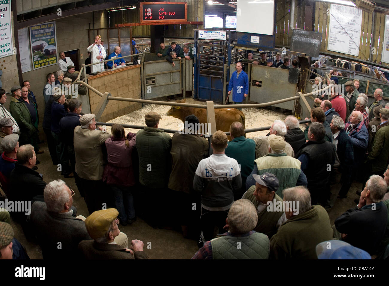 Auction crowd hi-res stock photography and images - Alamy