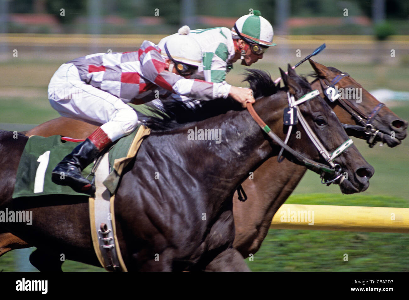 Horse race with two riders neck and neck racing to the finish line ...