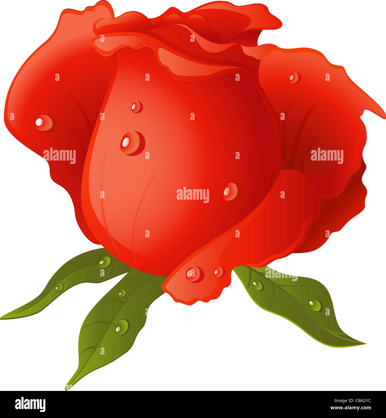 Single rose drawing hi-res stock photography and images - Alamy