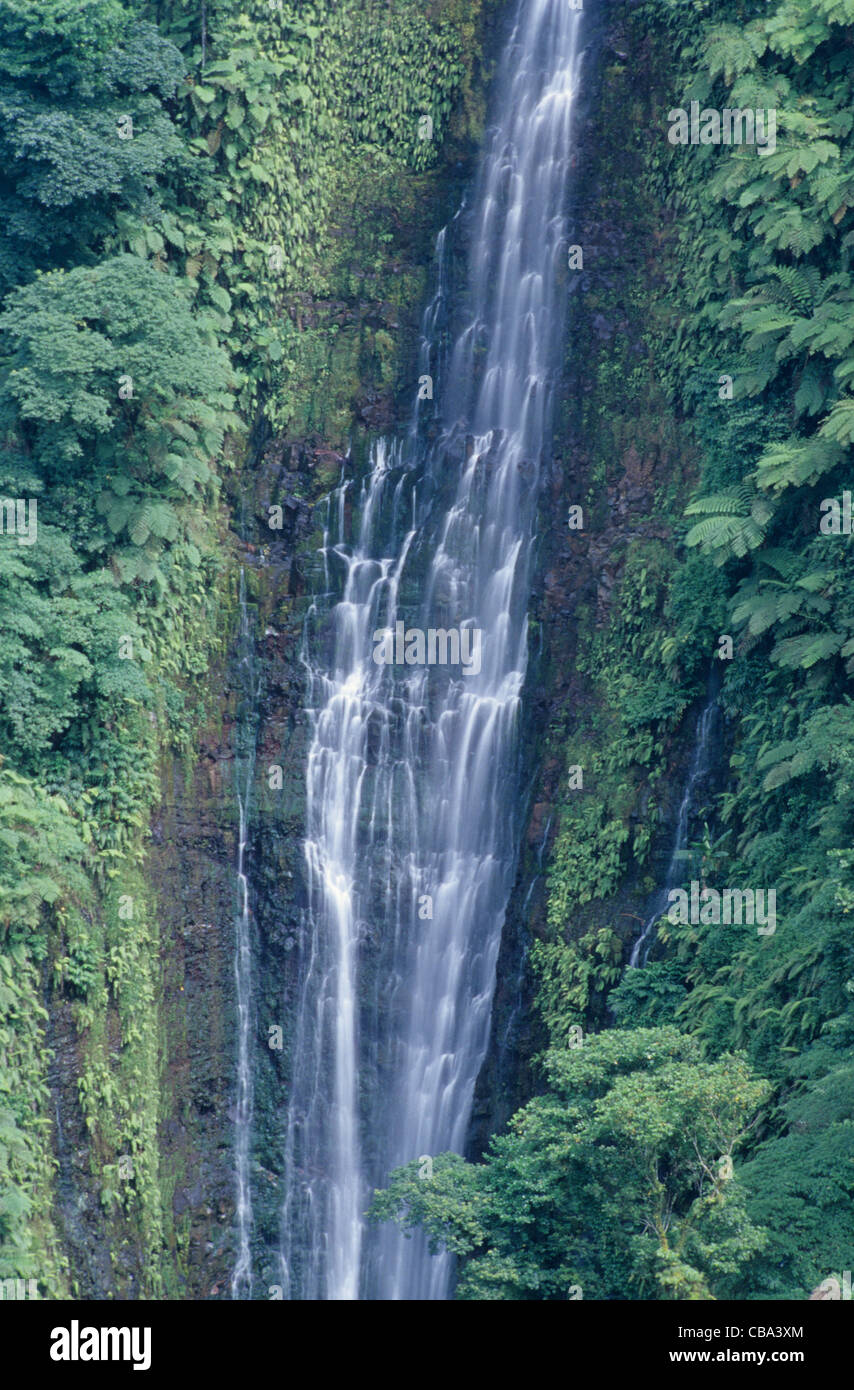 Western Samoa, Papapapai-Tai Waterfall Stock Photo - Alamy