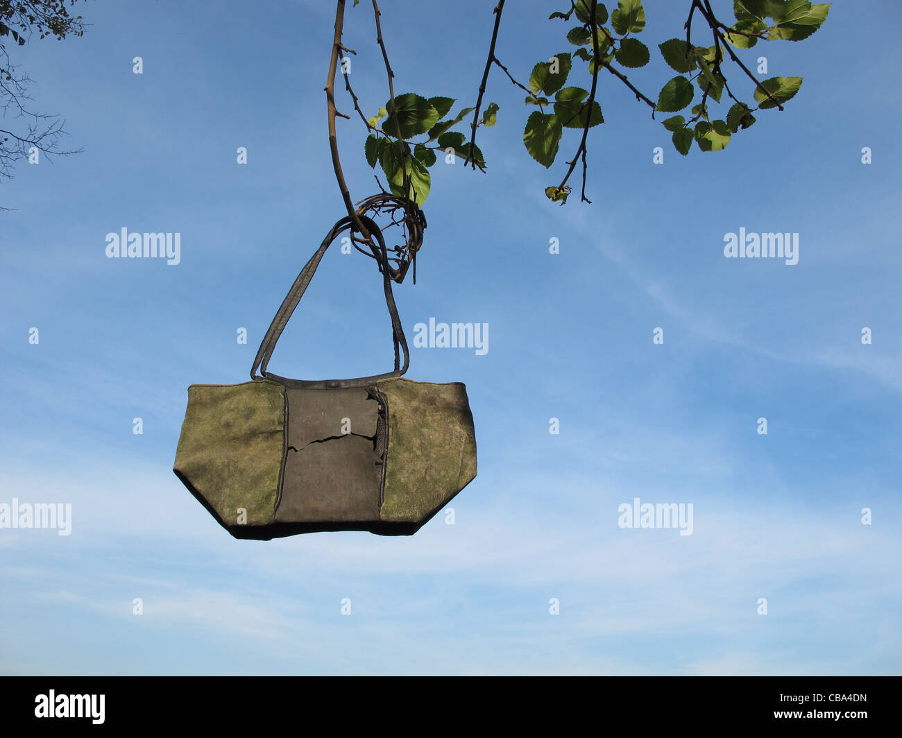 old dirty handbag hanging from tree in countryside Stock Photo - Alamy