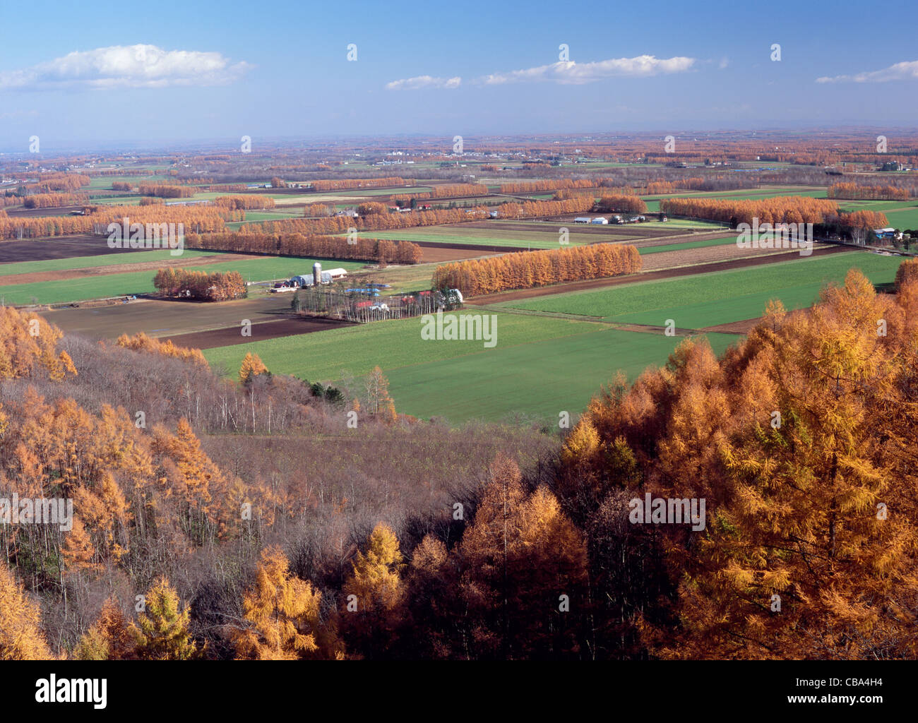Tokachi Plain and Autumn Leaves, Nakasatsunai, Hokkaido, Japan Stock ...