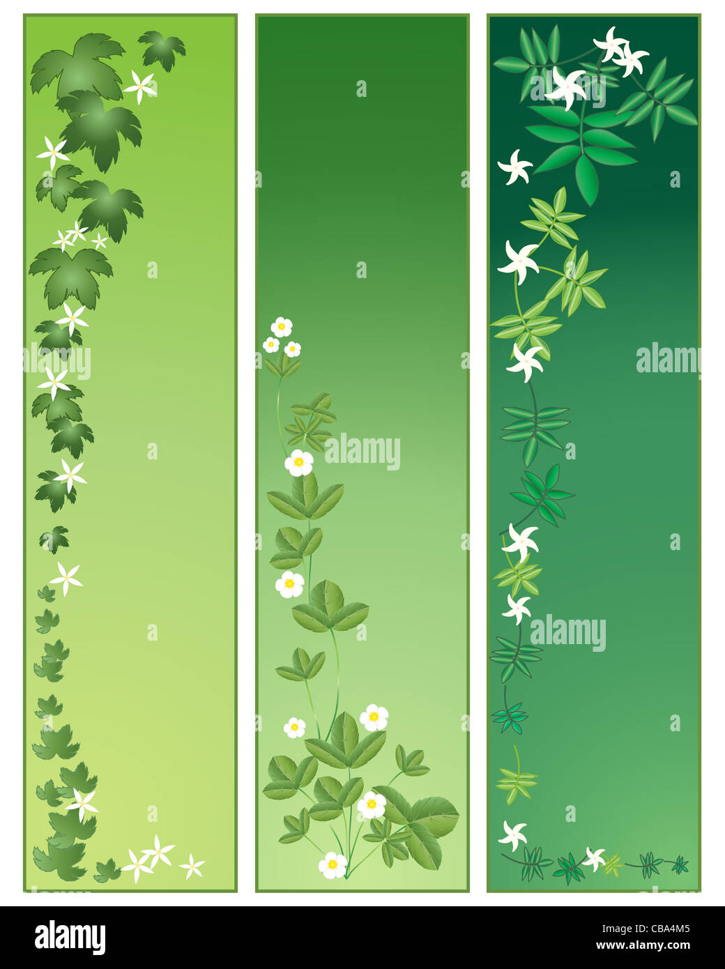 Different shades of leaves hi-res stock photography and images - Alamy