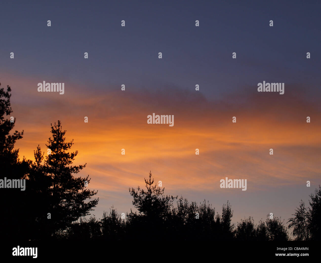 sunrise over trees / Sonnenaufgang über Bäumen Stock Photo - Alamy