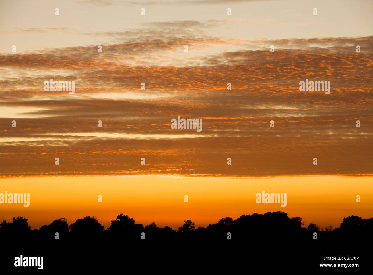 Red and Gold Clouds Stock Photo - Alamy