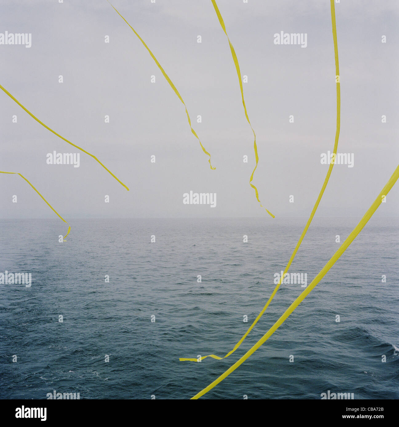 Yellow ribbons (from a kite tail) blowing in the breeze, off the back ...