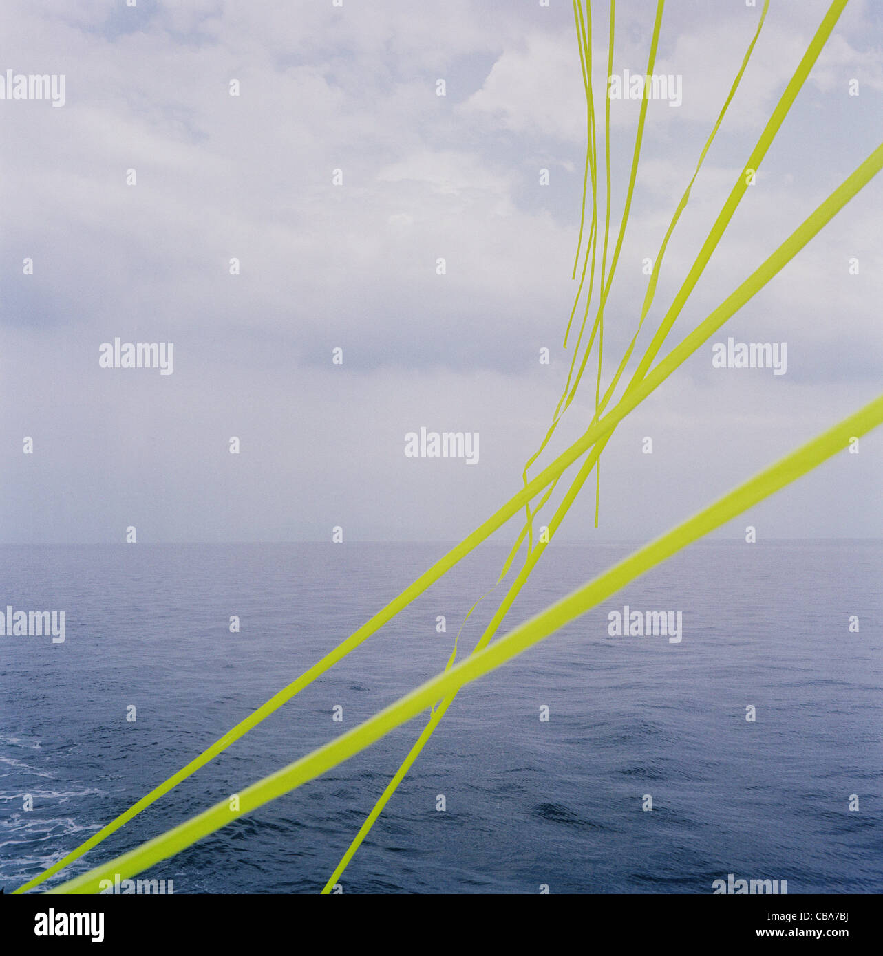 Yellow ribbons (from a kite tail) blowing in the breeze, off the back ...