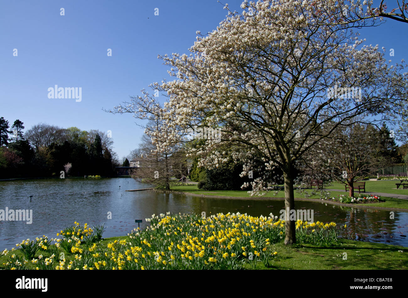 Burnby Hall Gardens High Resolution Stock Photography and Images - Alamy