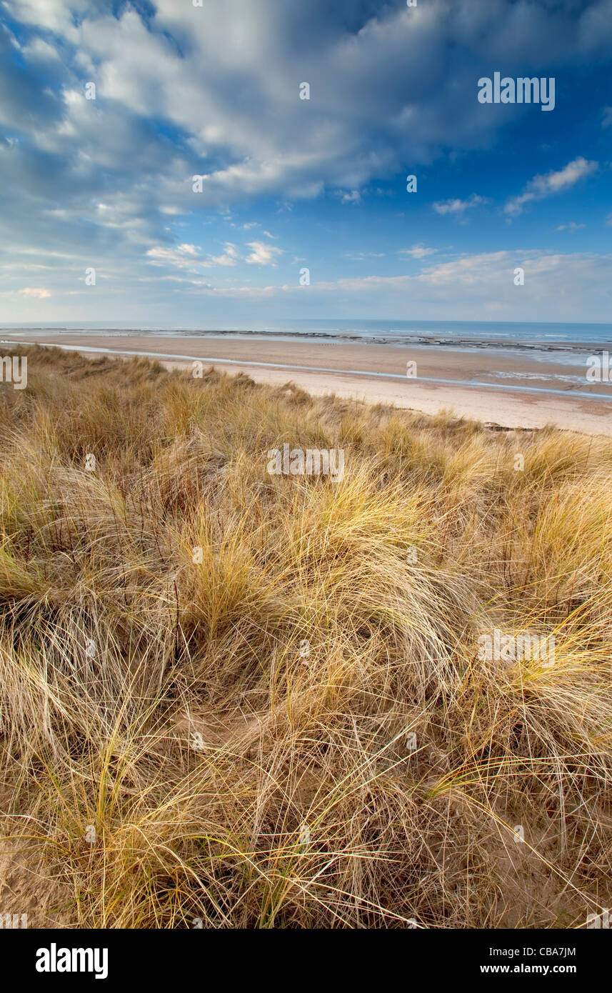 Holme dunes beach hi-res stock photography and images - Alamy