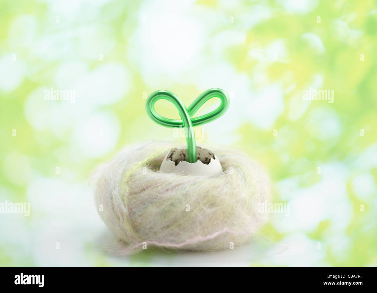 Ecology image of sprout from eggshell Stock Photo - Alamy