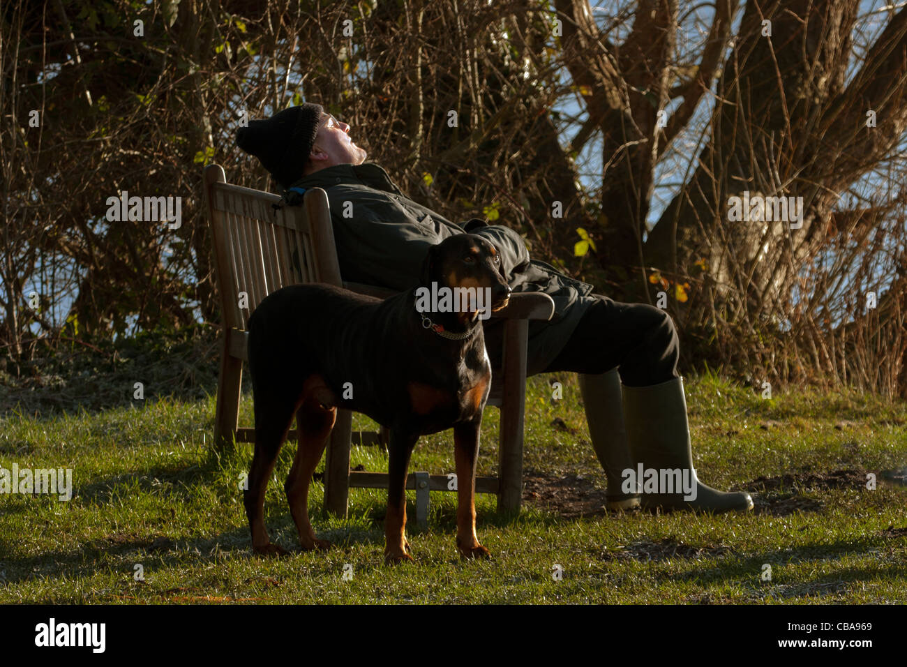 Reclining dog hi-res stock photography and images - Alamy