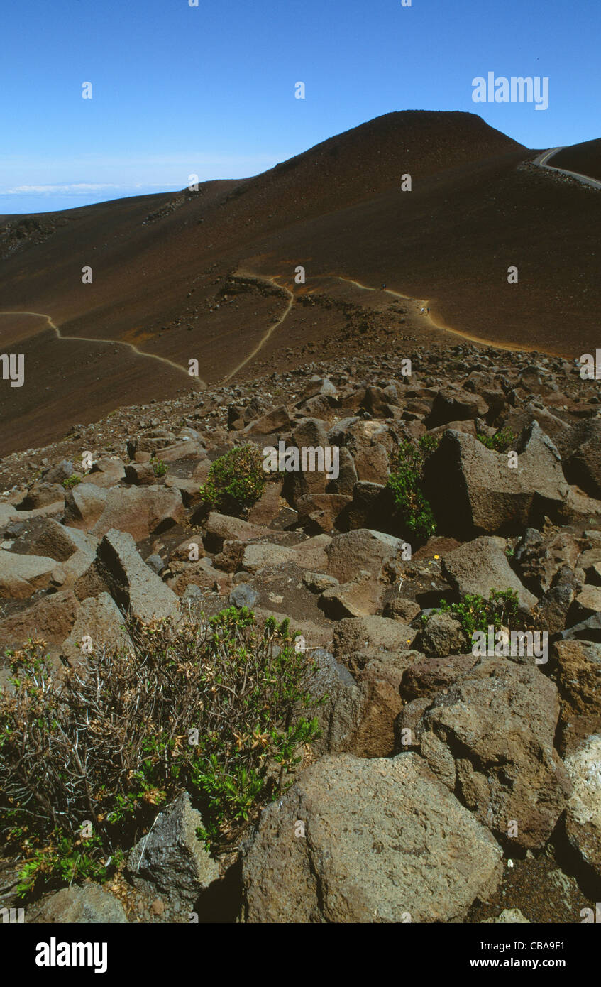 Looking towards the crater of the Haleakala volcano on Maui, Hawaiian ...