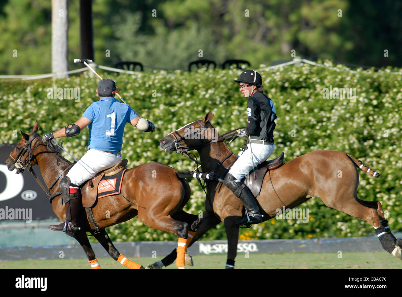 Polo Players High Resolution Stock Photography and Images - Alamy
