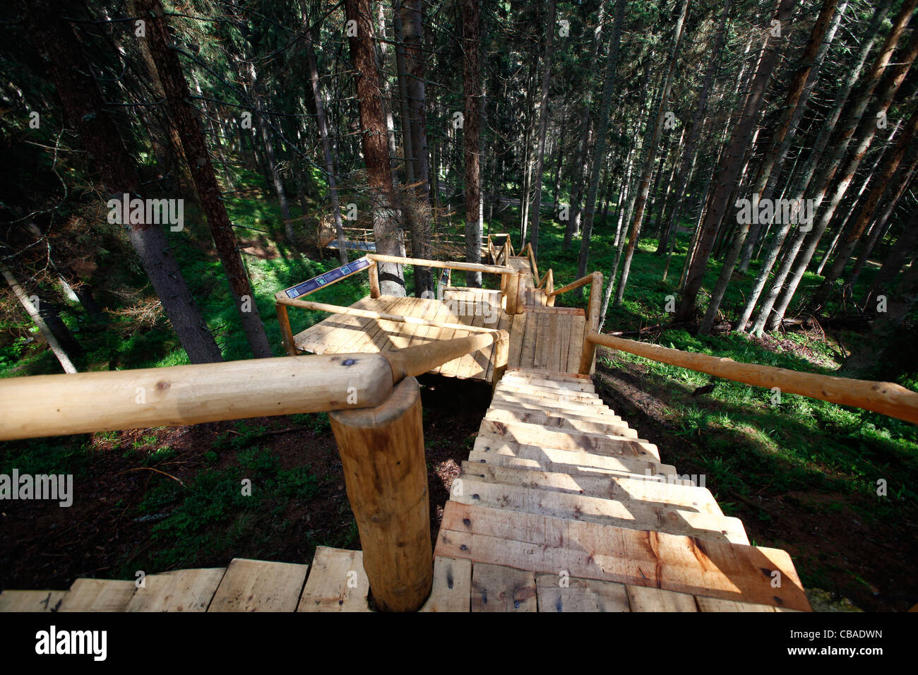 One of the spring of Vltava, the longest river in the Czech Republic ...