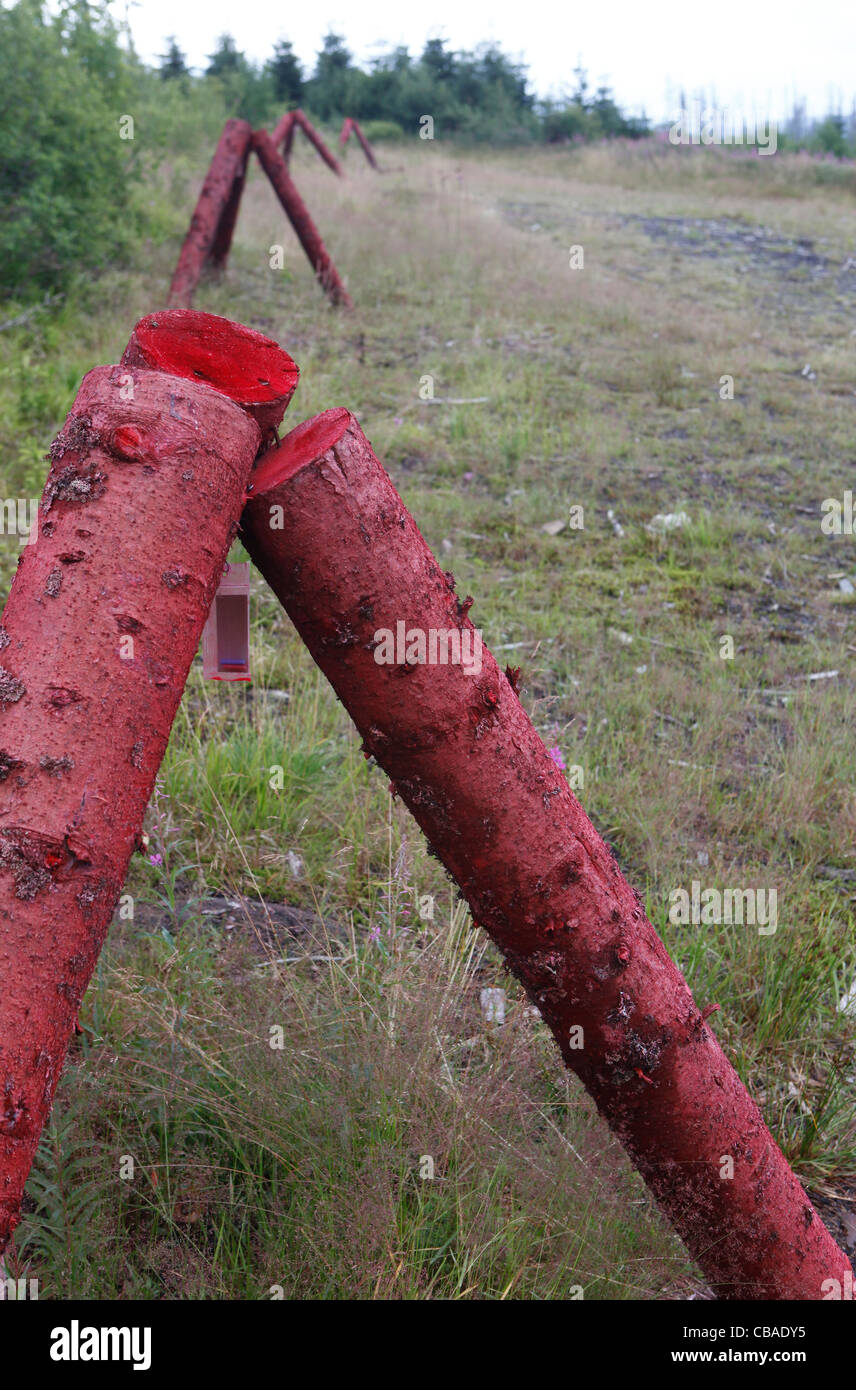 Forest protecting, bark beetle trap (CTK Photobank/Petr Mlch Stock ...