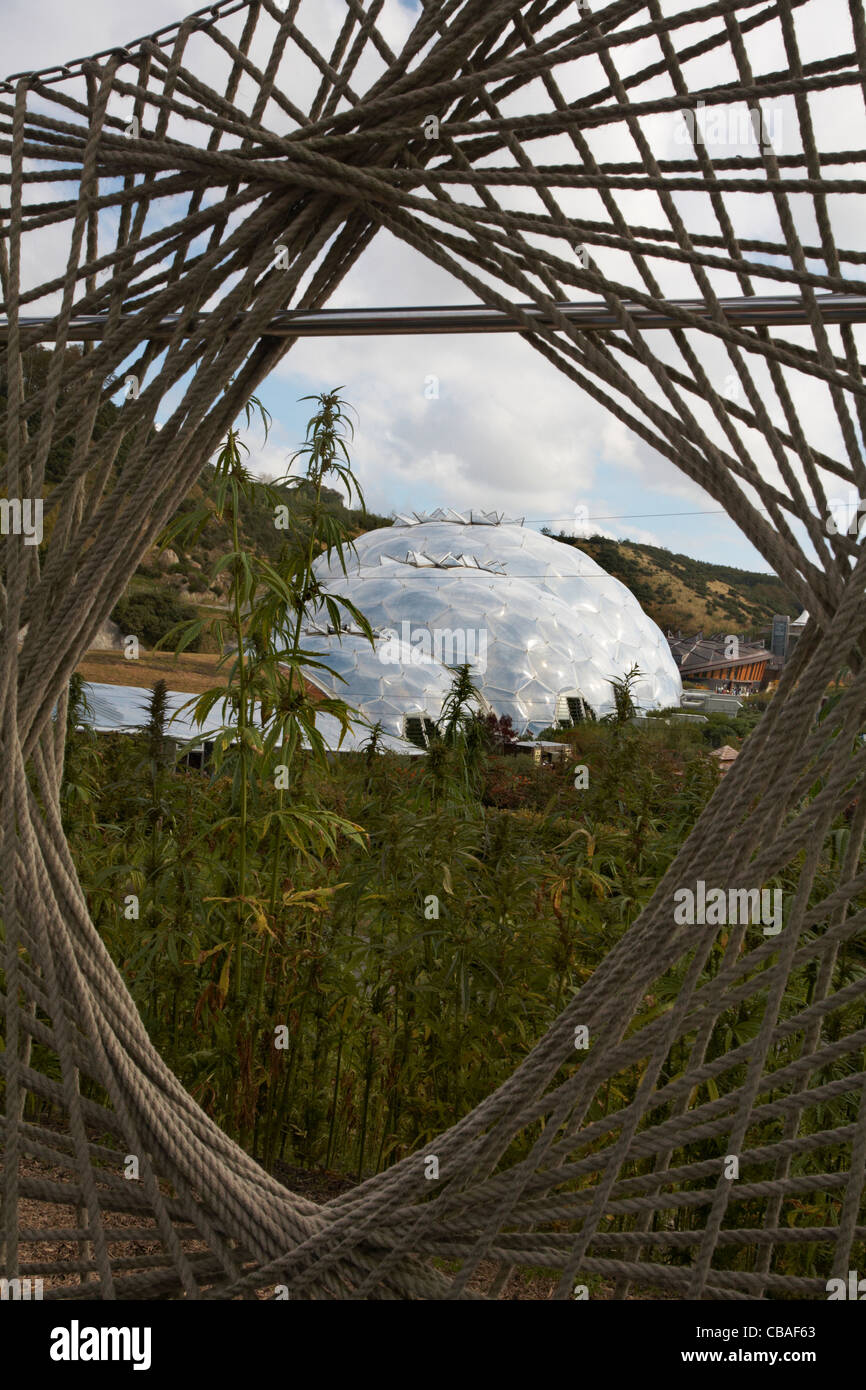 Bio domes hi-res stock photography and images - Alamy