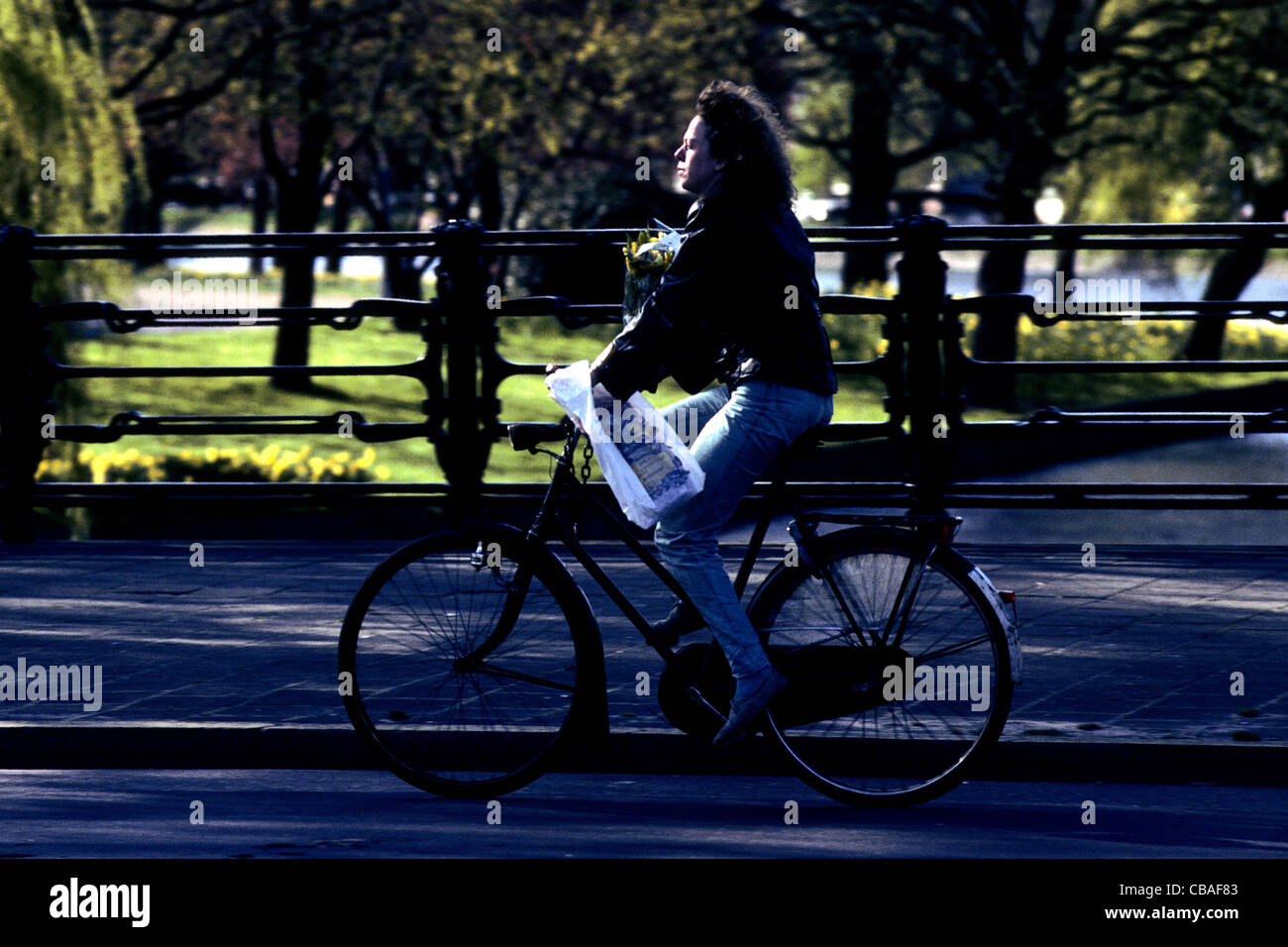 Typical Dutch scene - bicycle a favorite means of transport Stock Photo ...