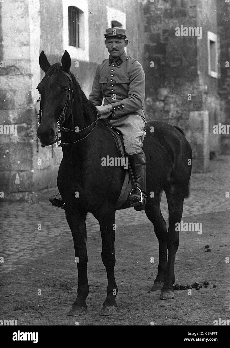 A french horse Black and White Stock Photos & Images - Alamy