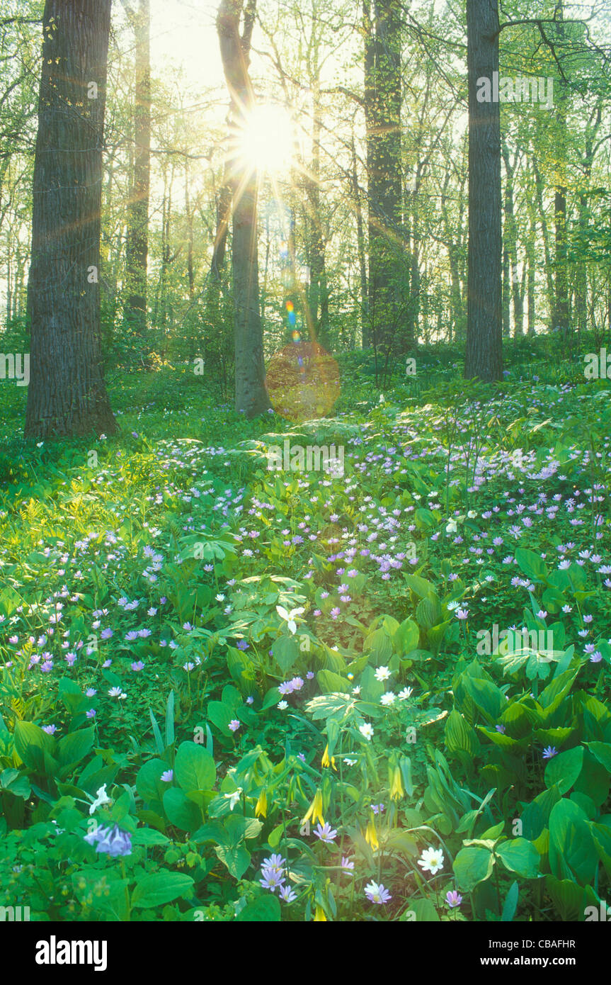 Winterthur gardens hi-res stock photography and images - Alamy