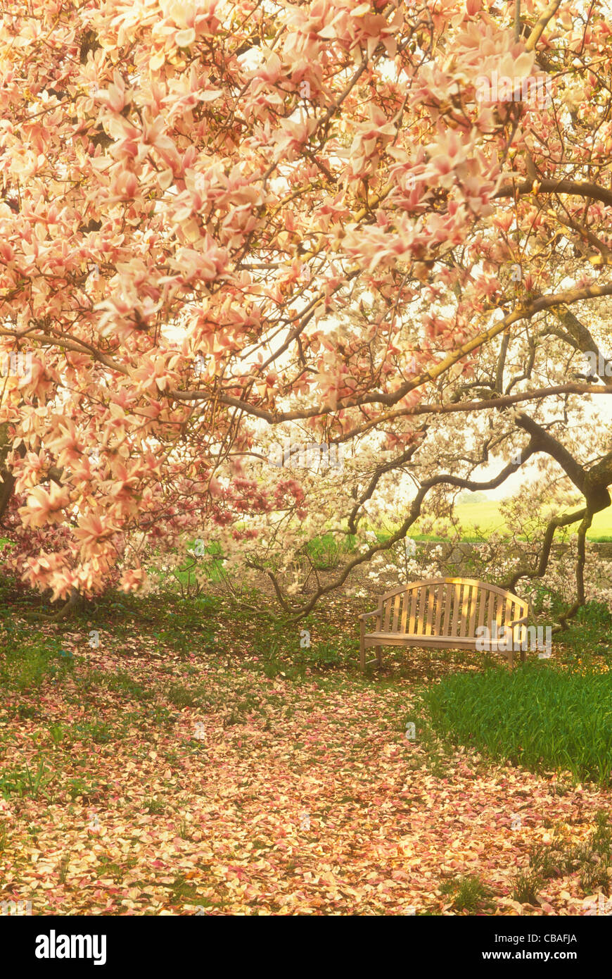 Gardens at Winterthur, Wilmington, Delaware, USA Stock Photo - Alamy