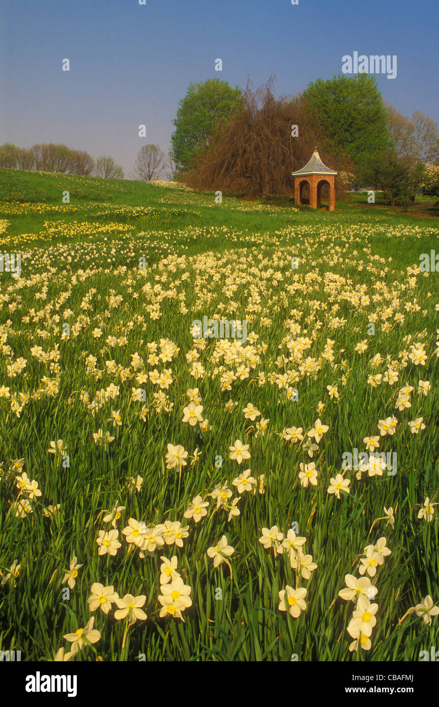 Gardens at Winterthur, Wilmington, Delaware, USA Stock Photo - Alamy