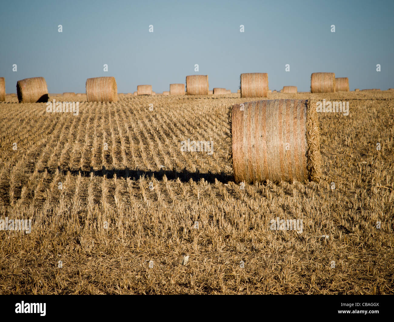 Haystack on the farm at sunset Stock Photo - Alamy