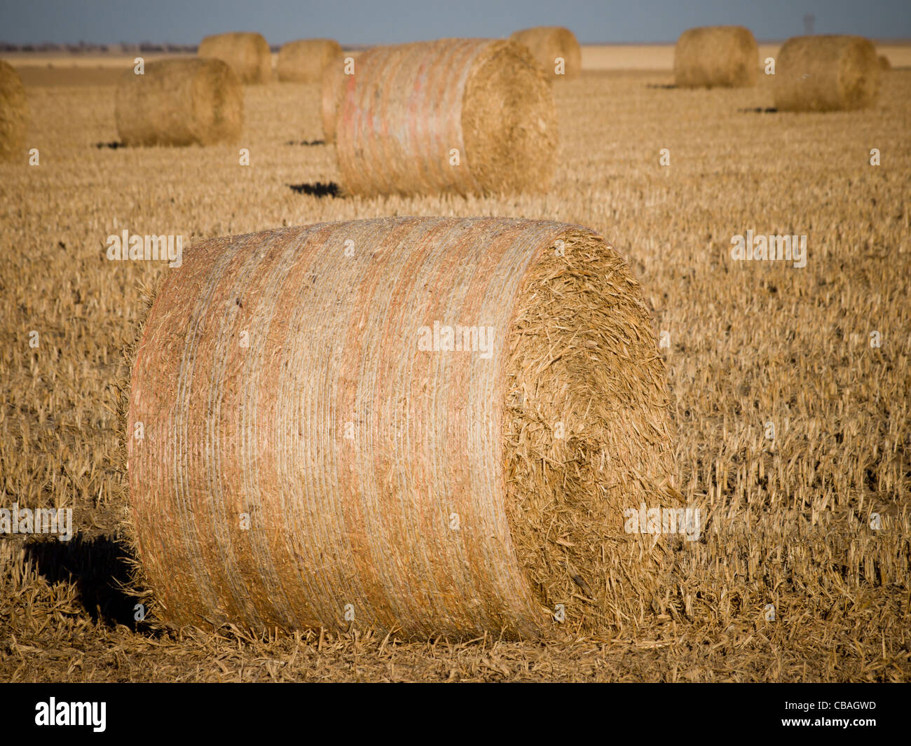 Haystack on the farm at sunset Stock Photo - Alamy