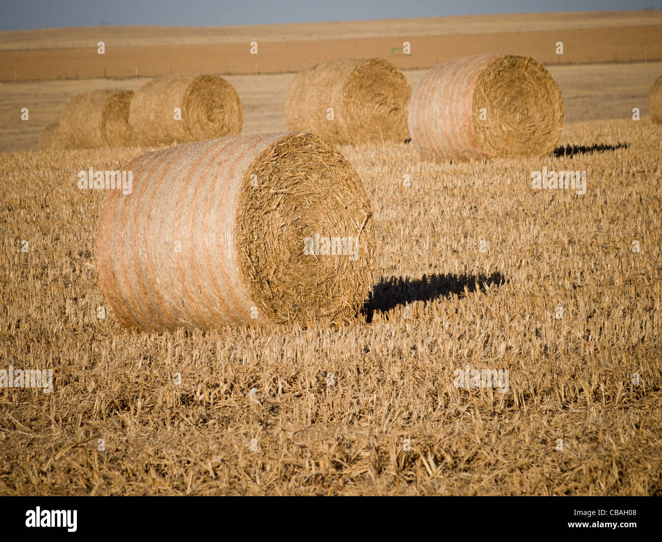 Haystack on the farm at sunset Stock Photo - Alamy