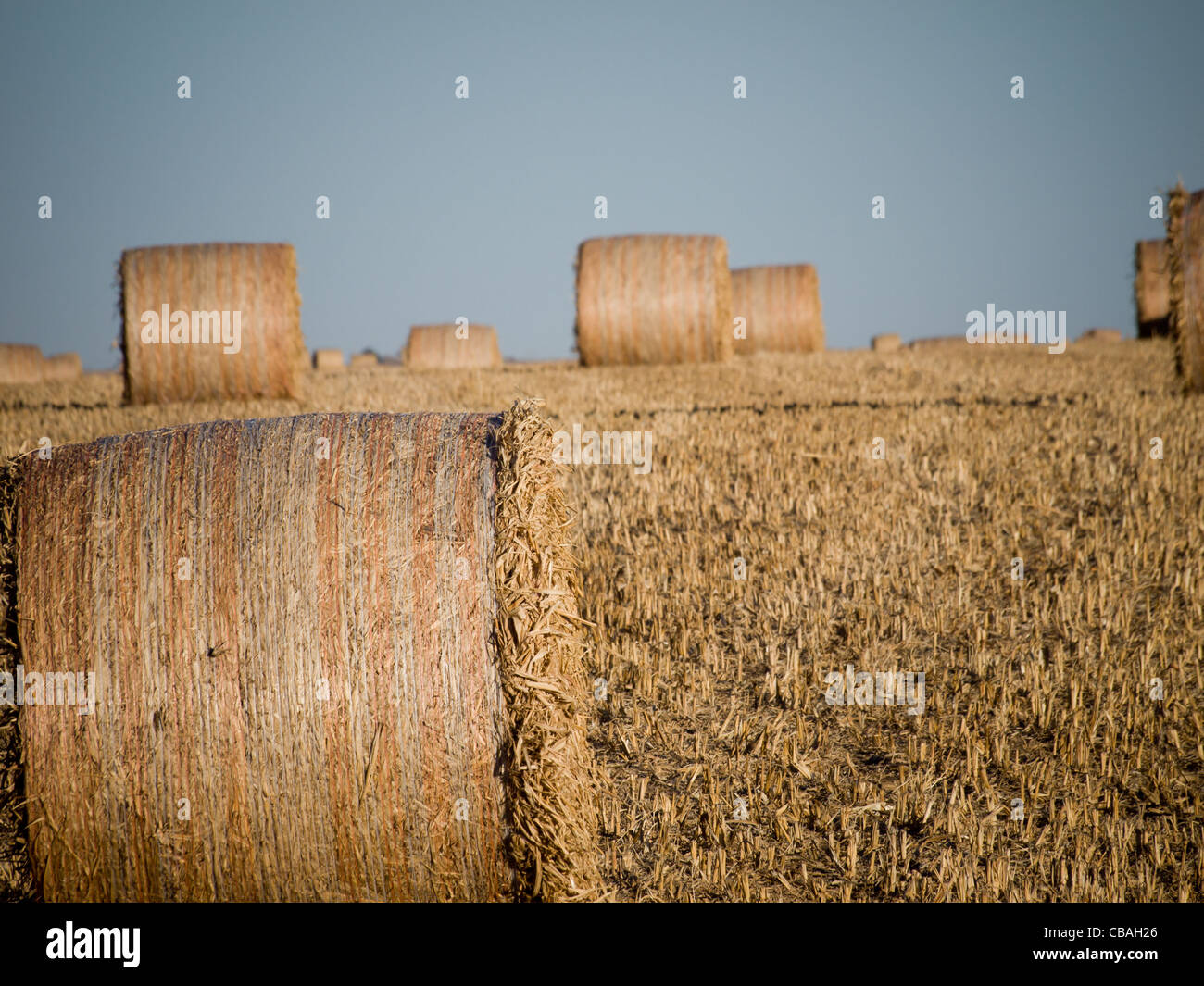 Haystack on the farm at sunset Stock Photo - Alamy
