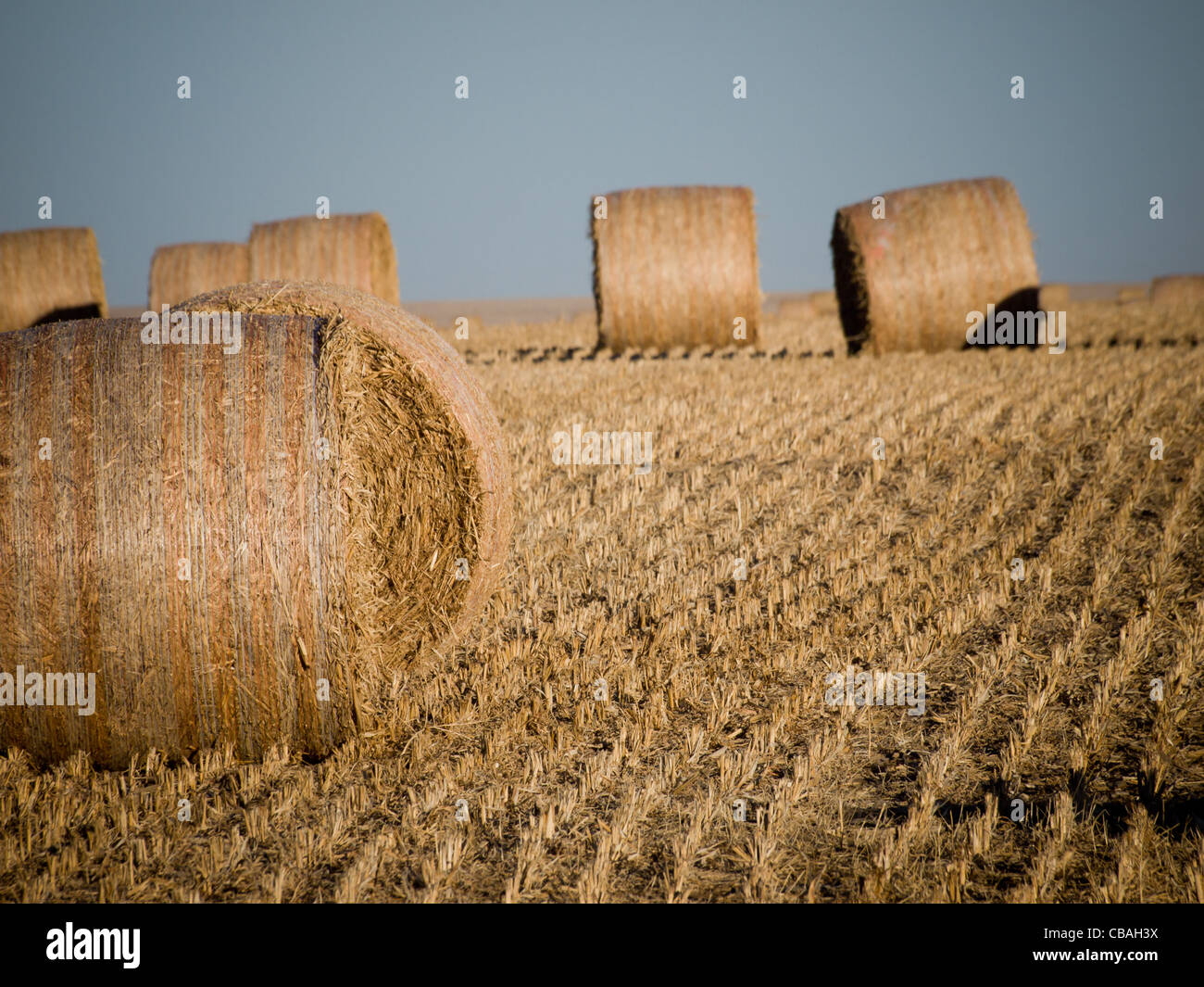 Haystack on the farm at sunset Stock Photo - Alamy