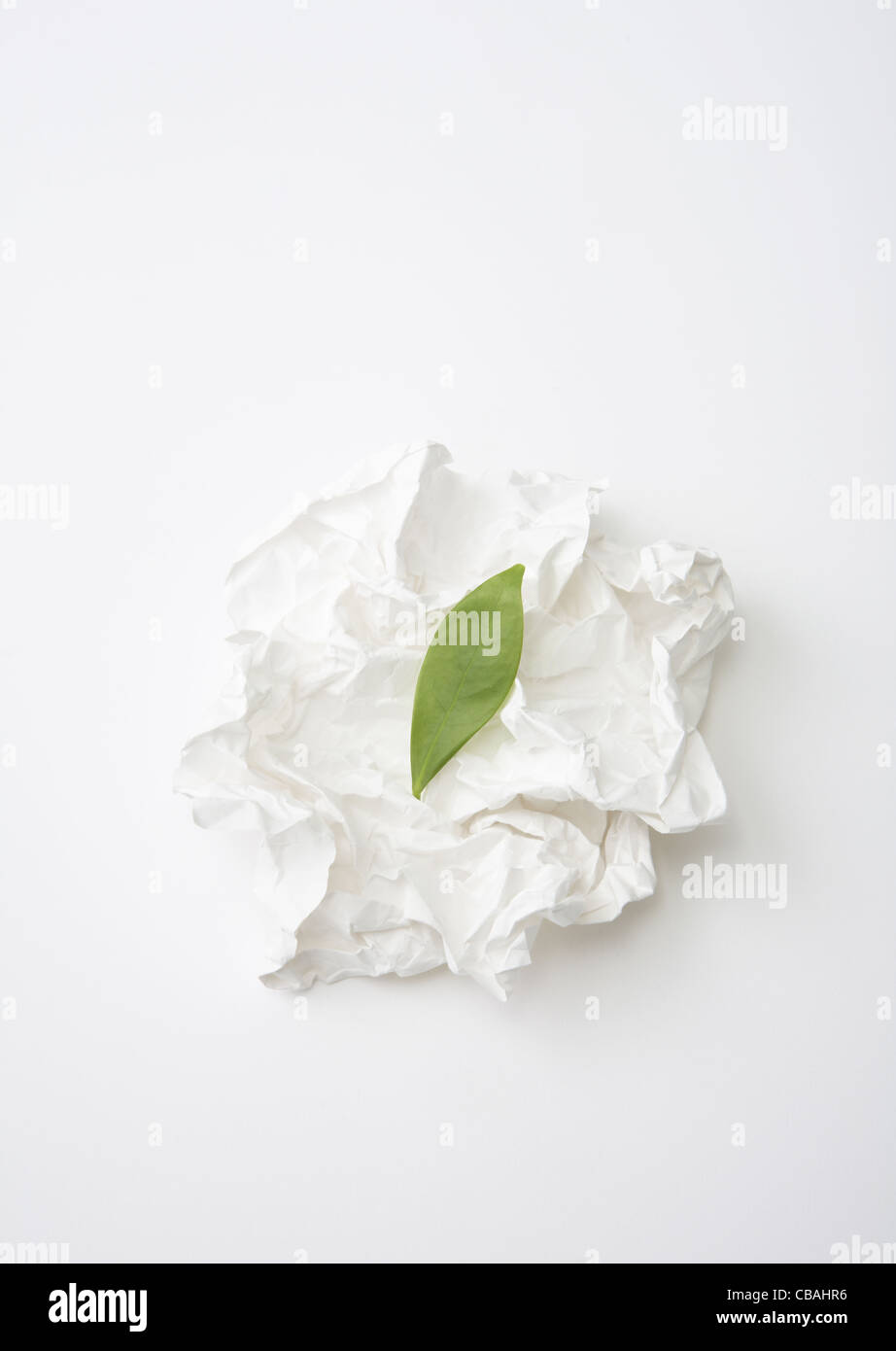 Screwed up paper and leaf Stock Photo - Alamy