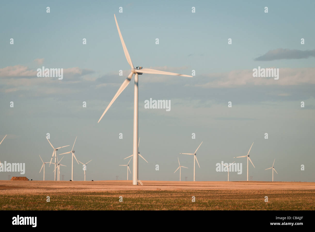 Wind turbines farm at sunset in Limon, Colorado Stock Photo - Alamy
