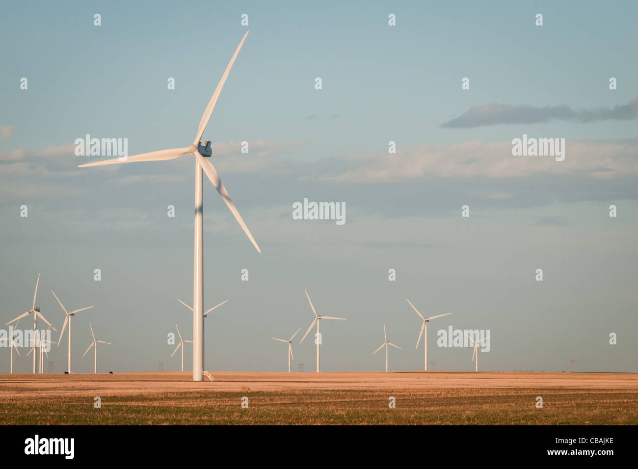 Wind turbines farm at sunset in Limon, Colorado Stock Photo - Alamy