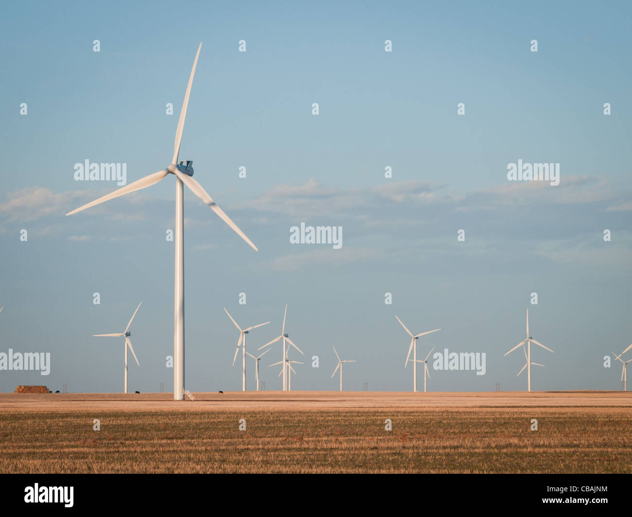 Wind turbines farm at sunset in Limon, Colorado Stock Photo - Alamy