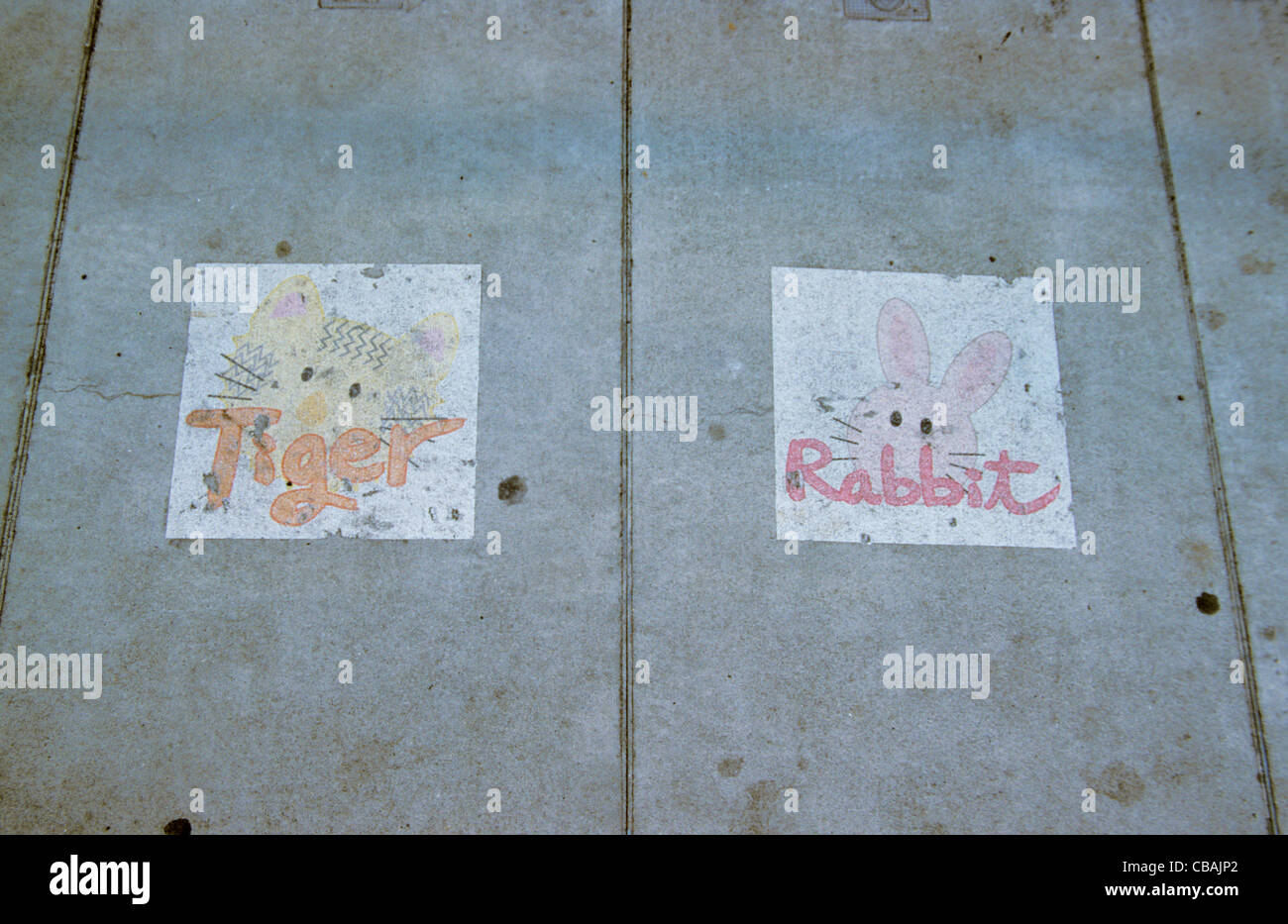 Akihabara Japan Tokyo Unusual markings on pavement Stock Photo - Alamy