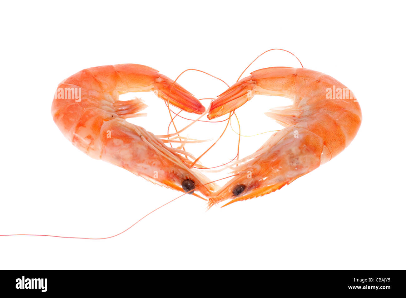 One cooked shrimp on Cut Out Stock Images & Pictures - Alamy