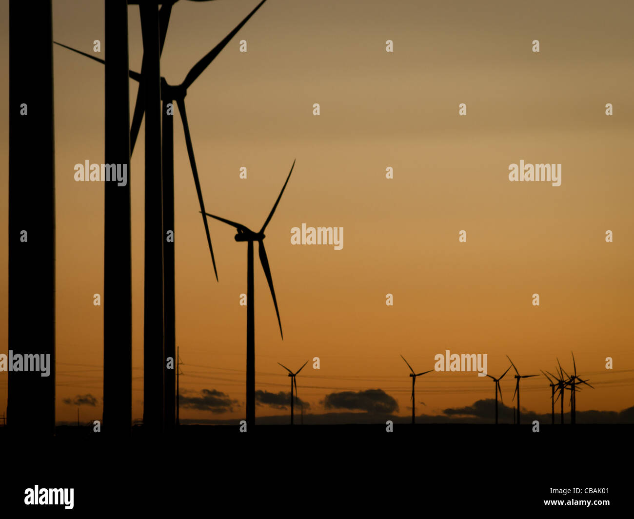 Wind turbines farm at sunset in Limon, Colorado Stock Photo - Alamy