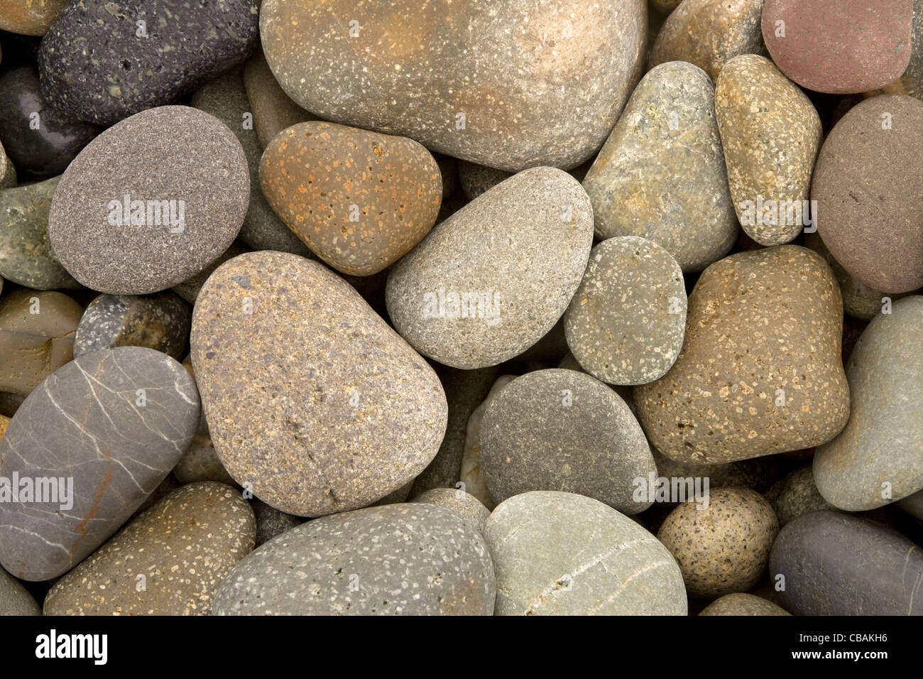 Closeup of smoothed pebbles Stock Photo - Alamy