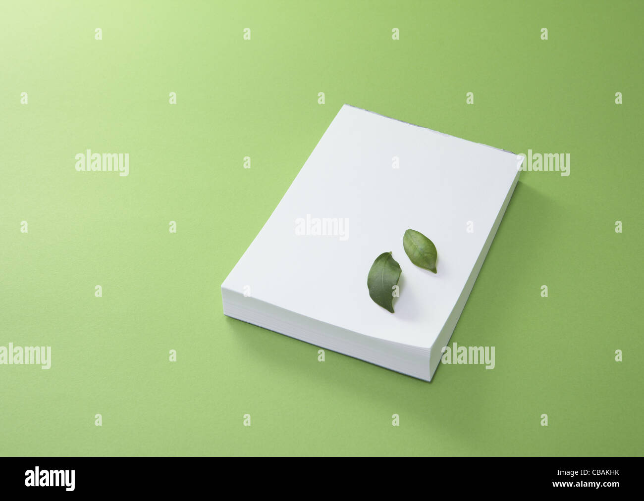 Leaves and notepad Stock Photo - Alamy